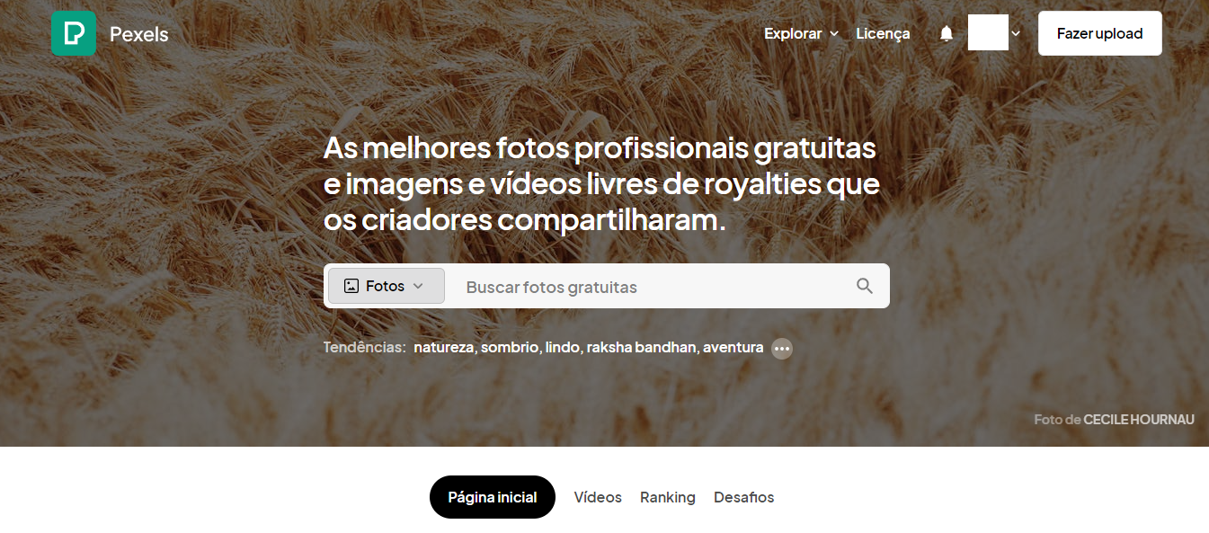 Confira os 5 melhores sites para baixar imagens grátis